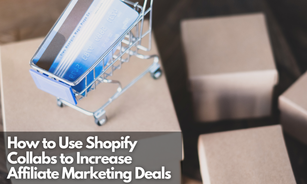 All About The Shein Influencer Program - Net Influencer