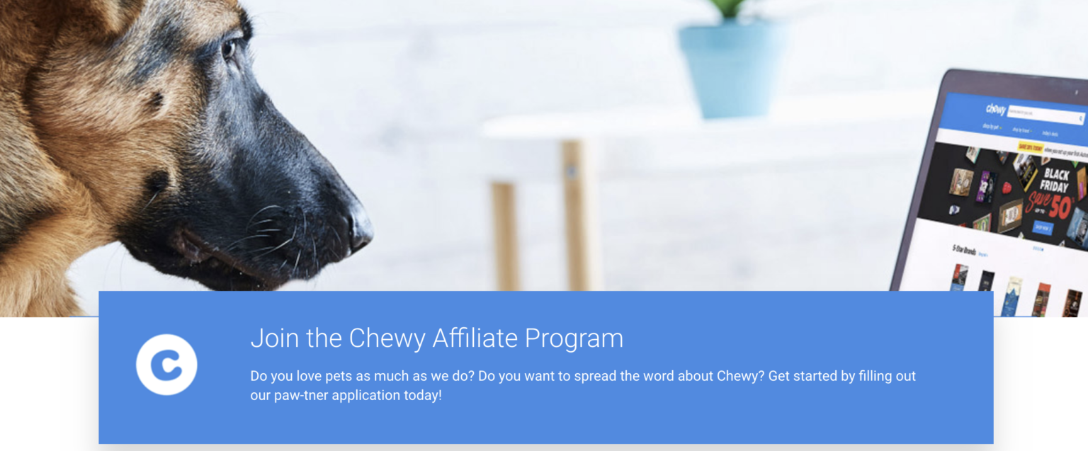 What Is Chewy Affiliate Program + How To Partner With Chewy