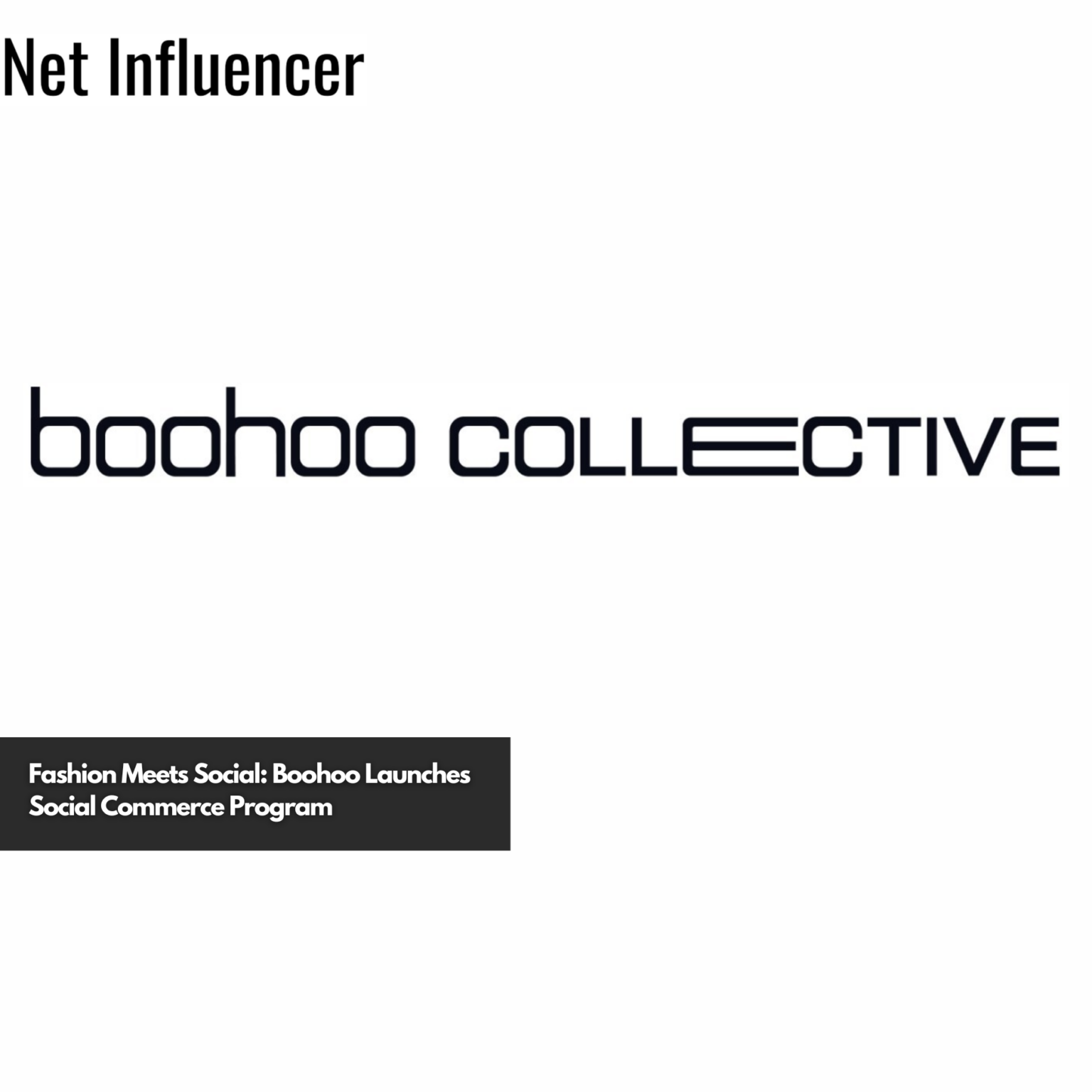 White Fox Influencer Program: What It Is & How To Join